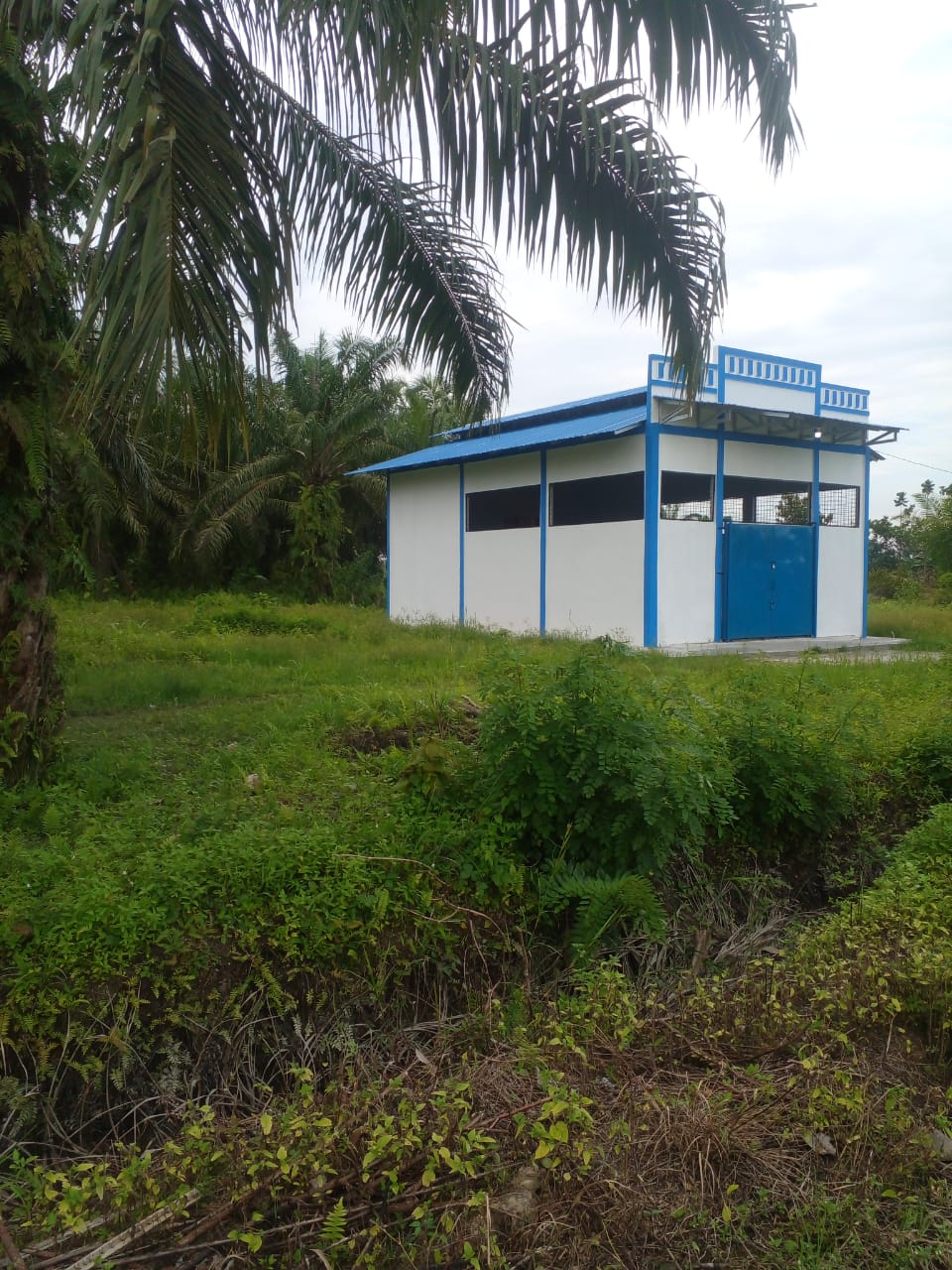 Pabrik Pakan Mini Bantuan Dishanpangternak Sumut Diduga dibangun pada ...
