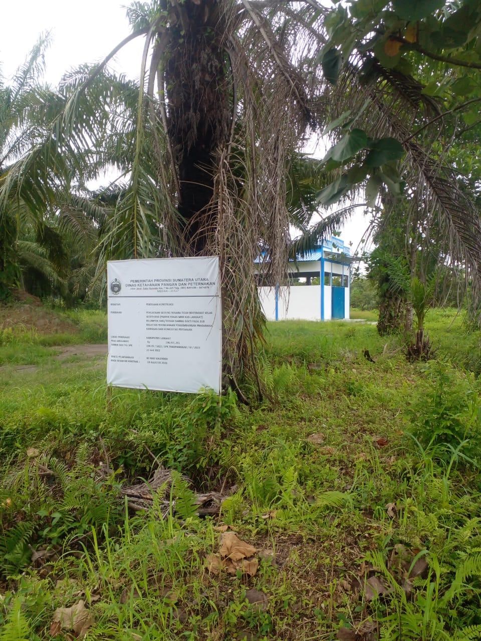 LSM Minta APH segera riksa Kadis Pertanian Langkat Terkait Pabrik Pakan ...