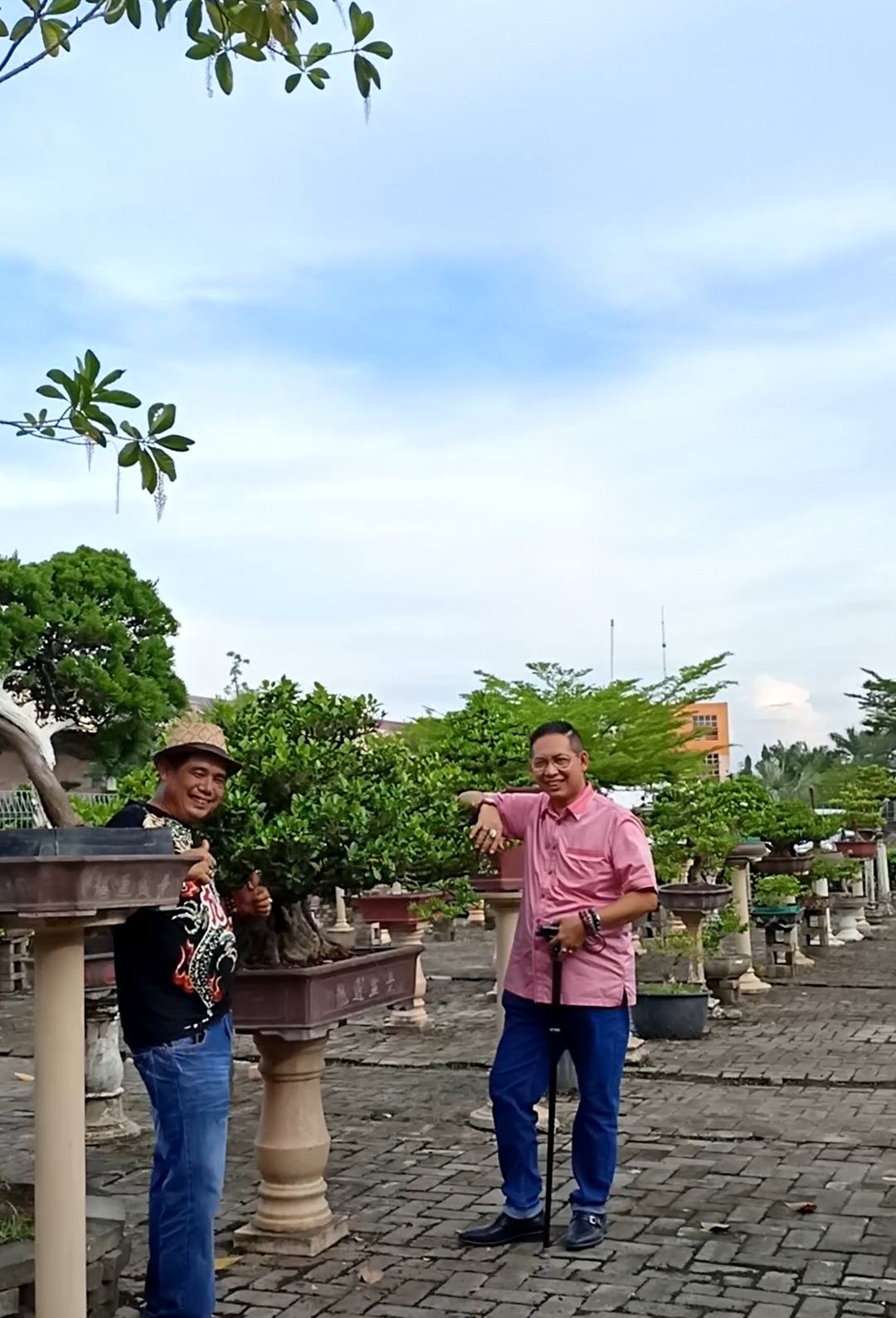 Thong's Inn Hotel Kualanamu Penginapan Asri dan Ekonomis - Metro Rakyat ...